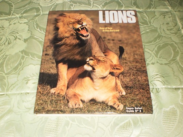 Lions - Anne et Yann - Sapra Safari Guide No 8
