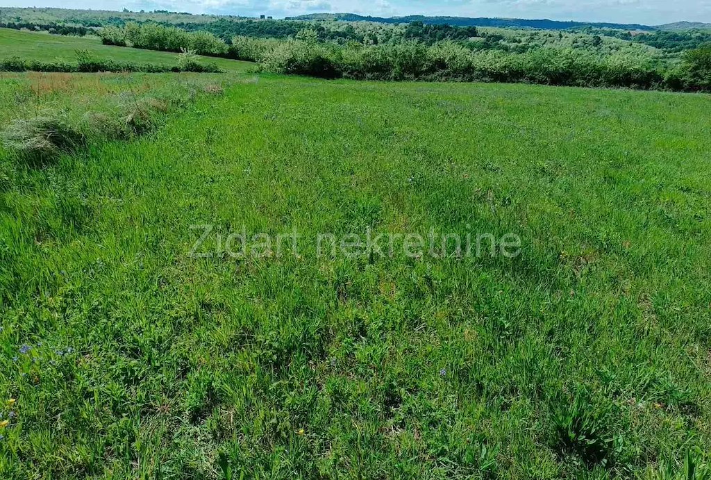 Prodaja, zemljište, 19408m2, Ranilović, Arandjelovac