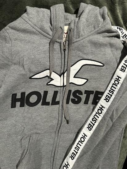 Hollister duks