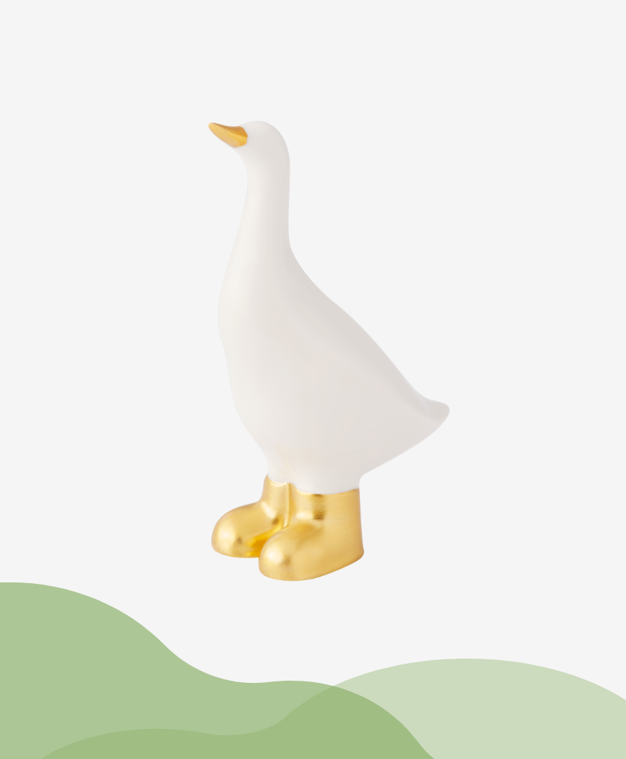 Mala ukrasna patka