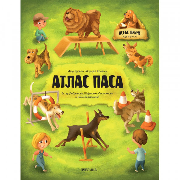 Pčelica Atlas pasa