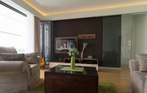 Iznajmljujem Stan-Apartman, Blok 65, Beograd Grad