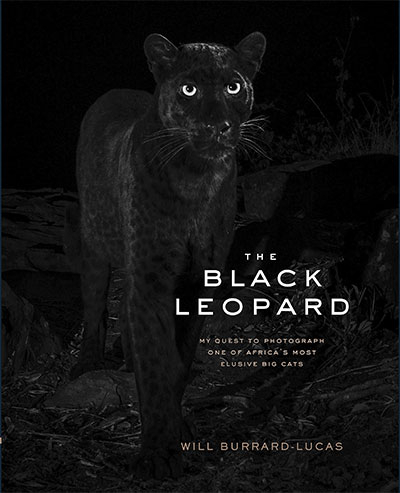 The Black Leopard