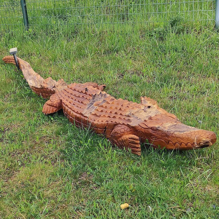 Figura aligator