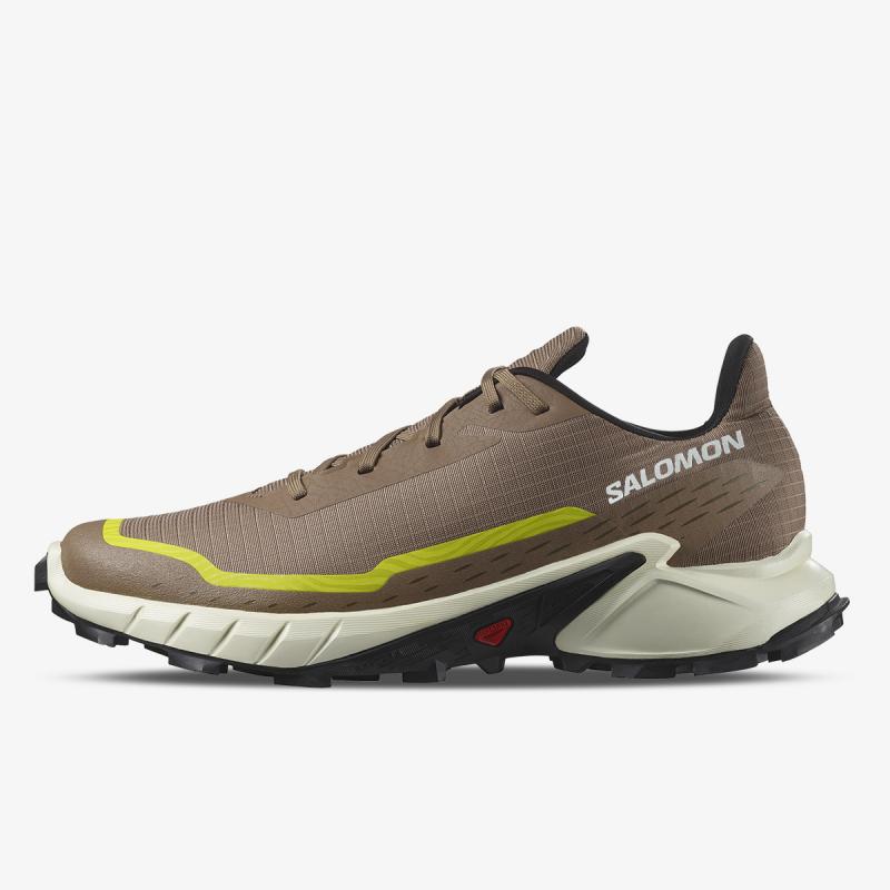 Salomon Alphacross 5