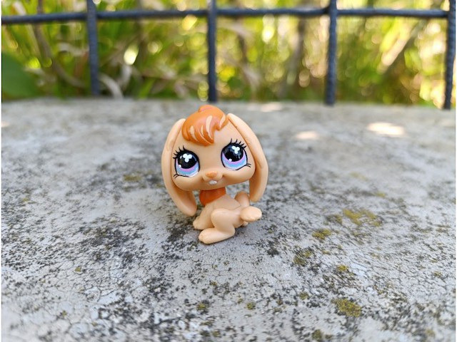 Littlest Pet Shop - original 15