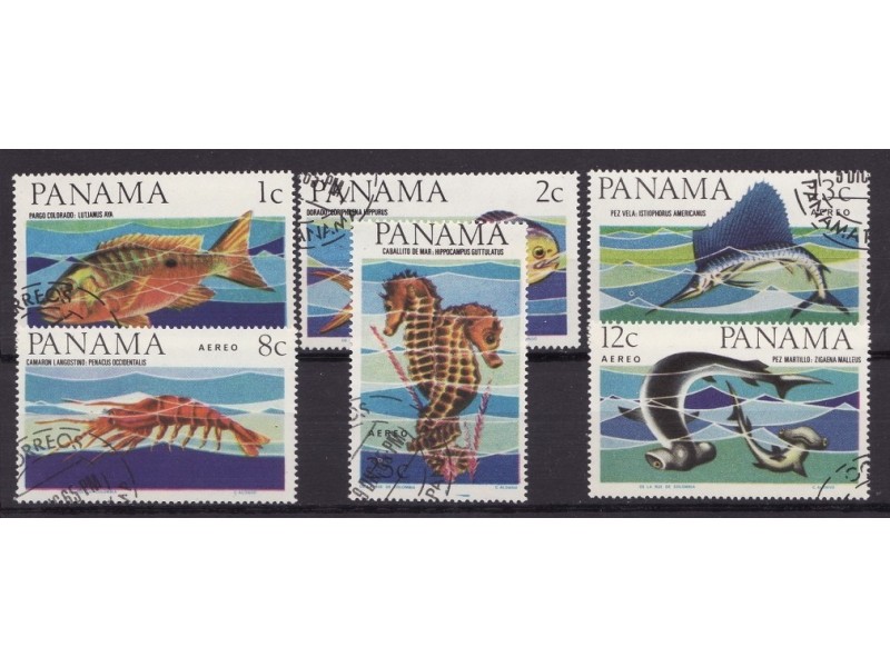 Panama - morska fauna