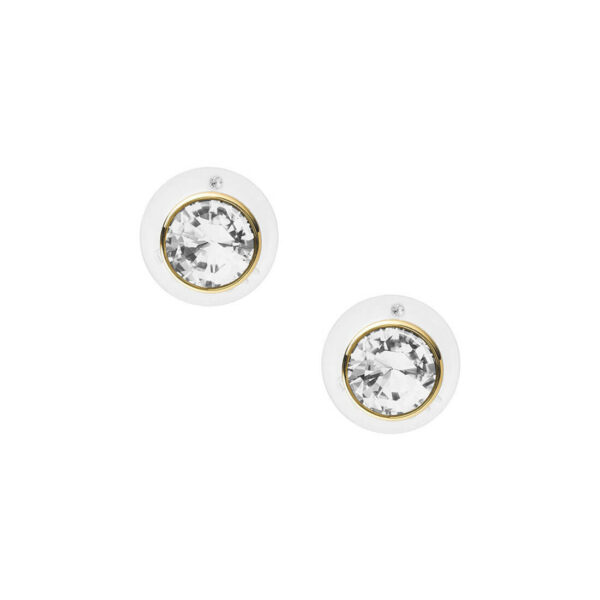 Fossil JOA00668710