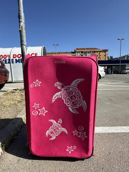 Kofer Carpisa rozi, kornjača