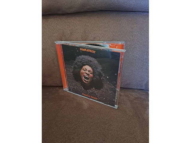 Funkadelic - Maggot Brain (Bonus)