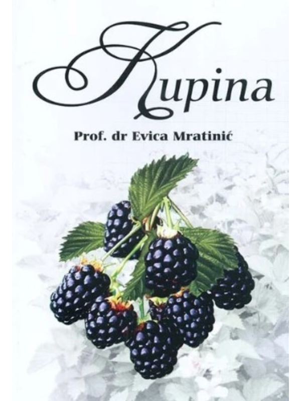 Kupina