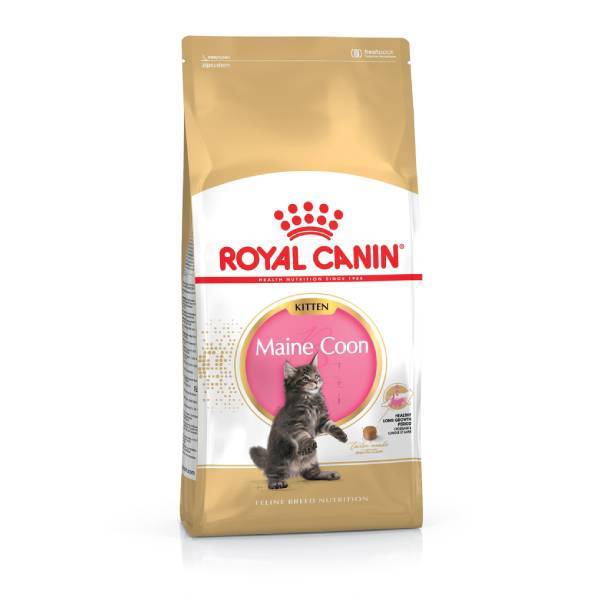 Royal Canin Kitten Mainecoon - 400gr