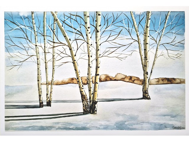 Breze na snegu 4 - akvarel