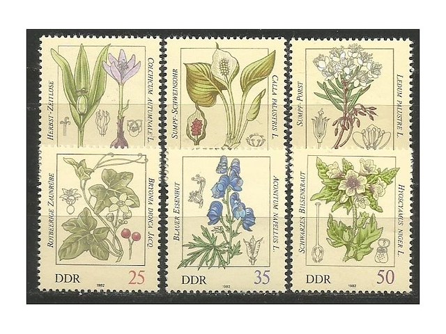 DDR,Flora 1982.,čisto