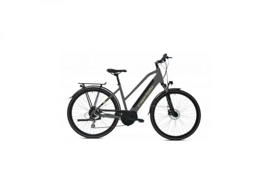 Capriolo ECO 70032 E-BIKE 28" sivo 923812-48