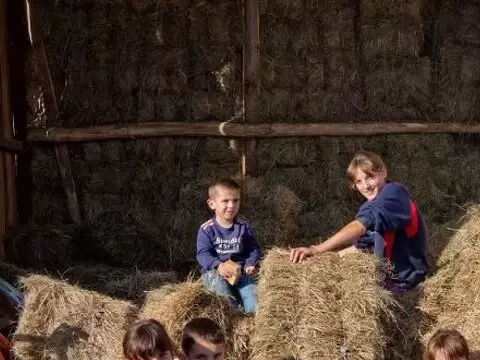 Domaćinstvo Milenka Čakarevića