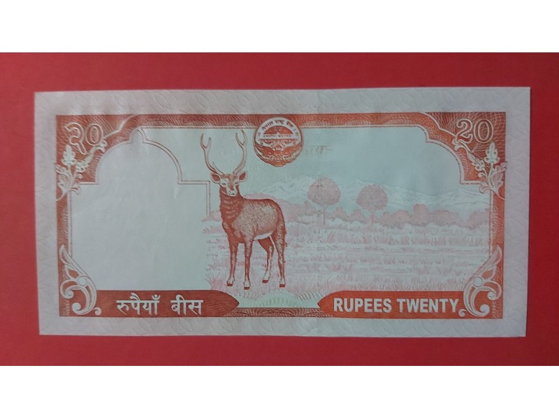 20 rupees 2008 god Nepal UNC