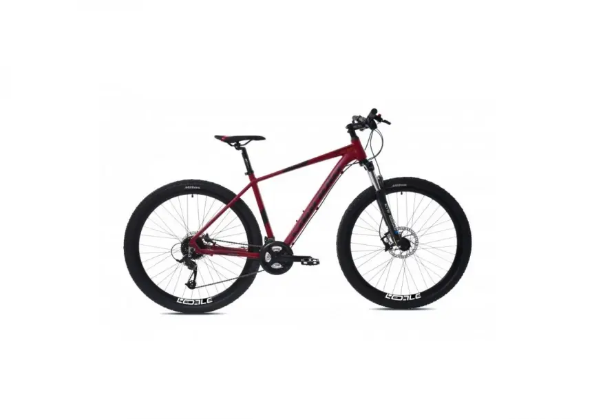 Capriolo MTB LC 93 29"24AL bordo-crni 924535-19