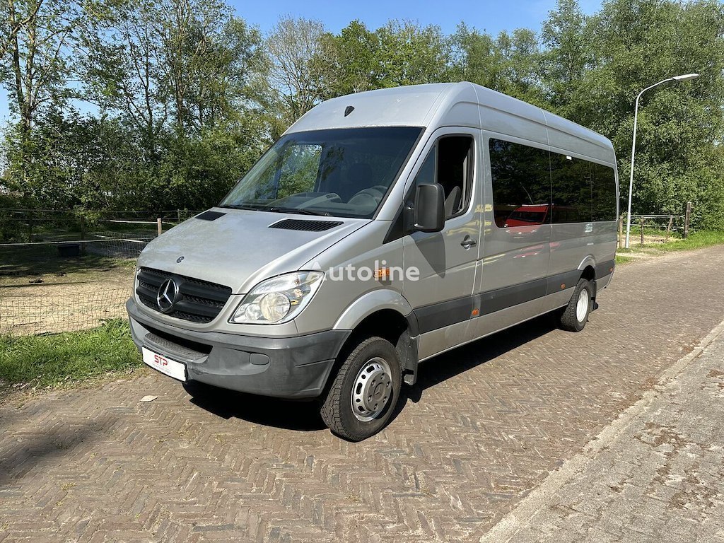 Mercedes-Benz Sprinter 516 4x4 16 seats / wheelchair turistički autobus