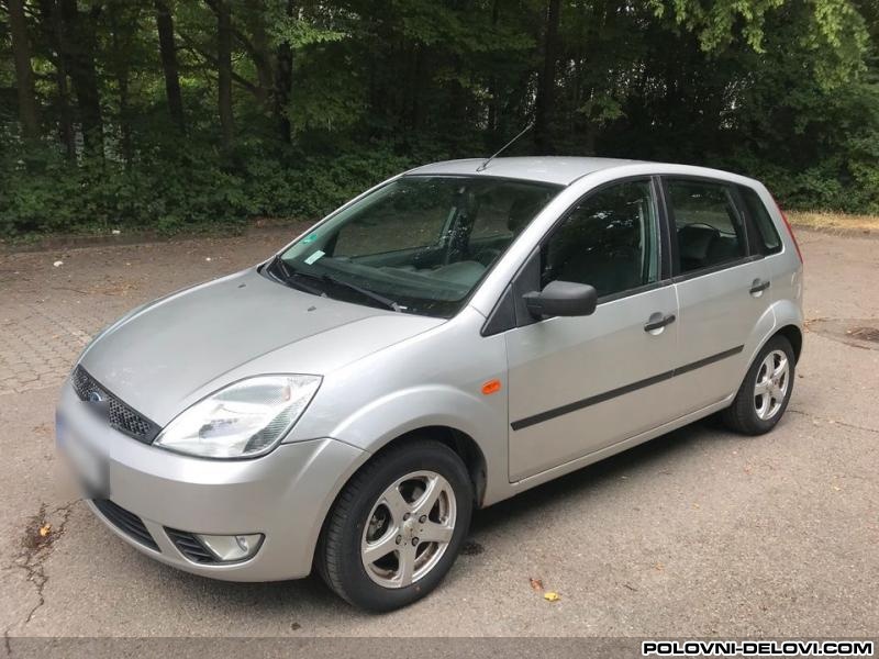 Ford Fiesta Krila U Sivoj Boji