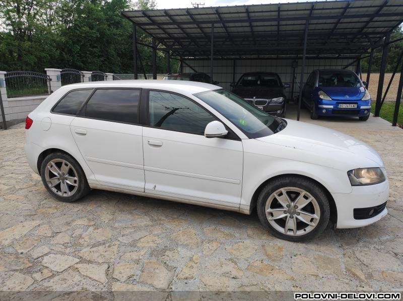 Audi A3 2.0tdi Cr Kompletan Auto U Delovima