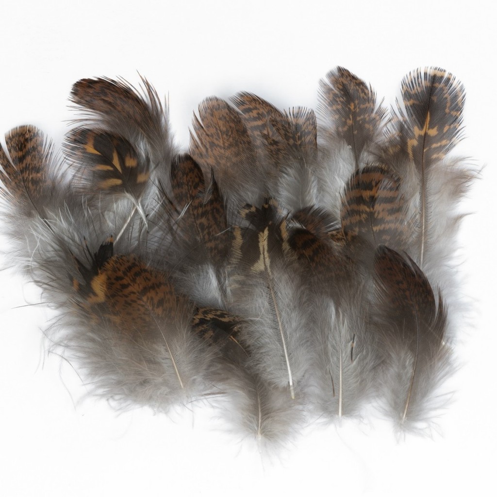 ***Veniard Grouse body plumage 2 g