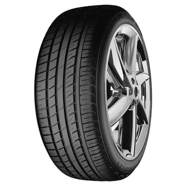 Starmaxx Letnja guma 215/65R16 98H NOVARO ST532