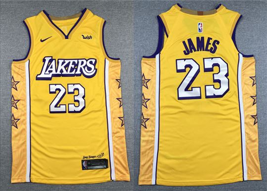 LeBron James - Los Angeles Lakers NBA dres #31