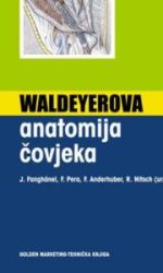 Waldeyerova Anatomija Čovjeka Od Anton Johannes Waldeyer
