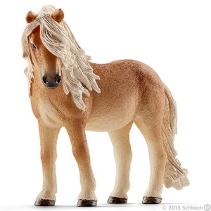 Islandski poni - kobila