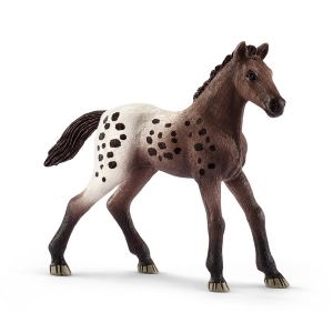 Appaloosa zdrebe