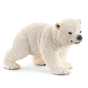 Polarni medved mladunče,šeta