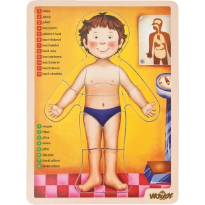 Puzzle "human body"