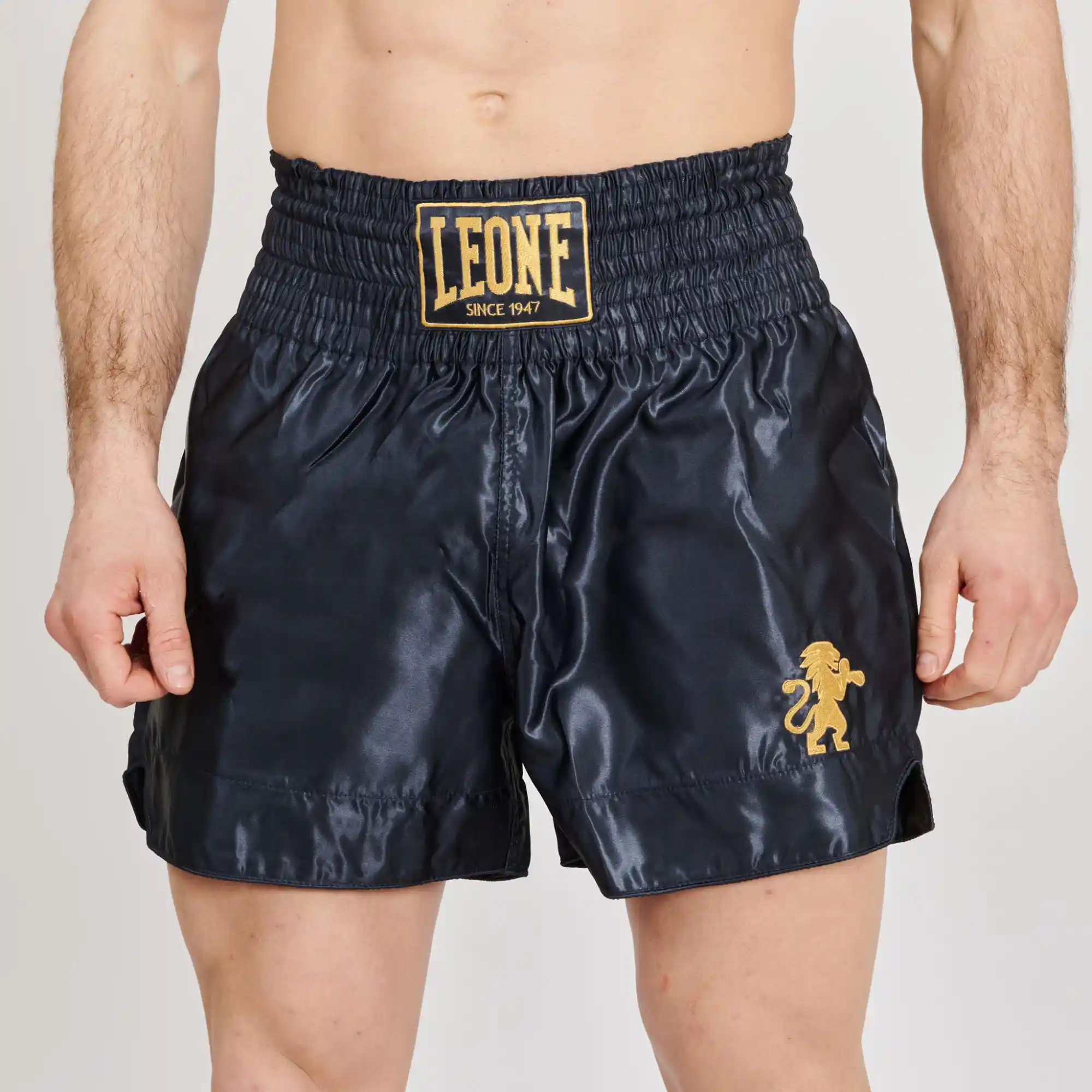 BASIC 2 KICK SHORTS