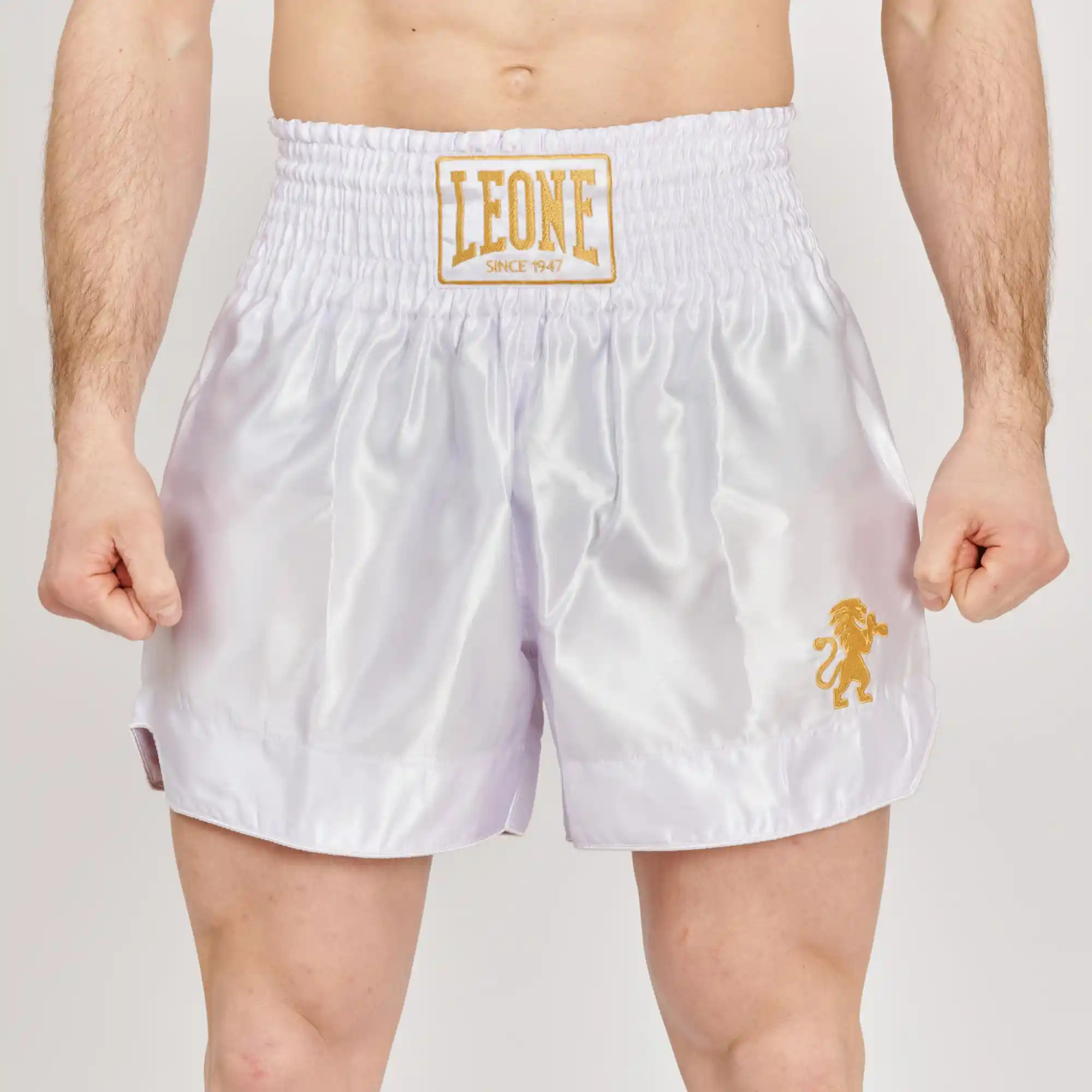 BASIC 2 KICK SHORTS