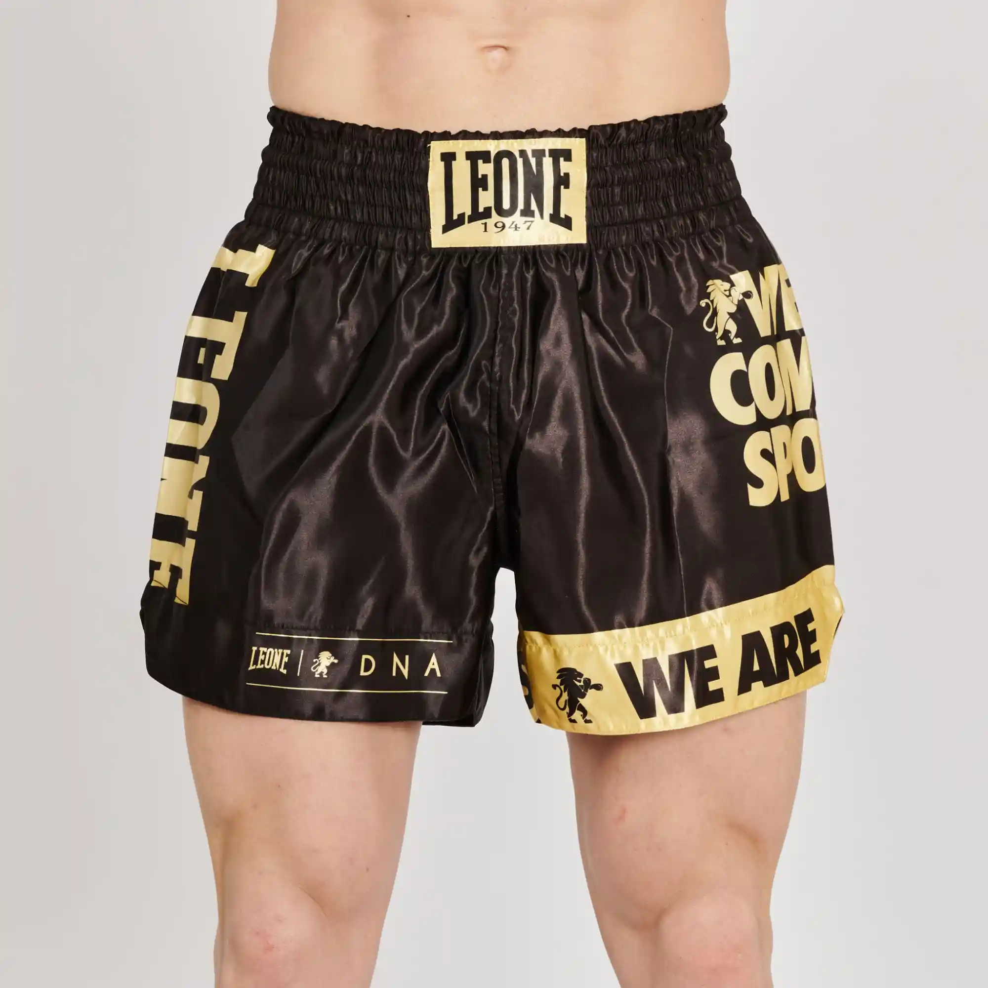KICK-THAI SHORTS DNA