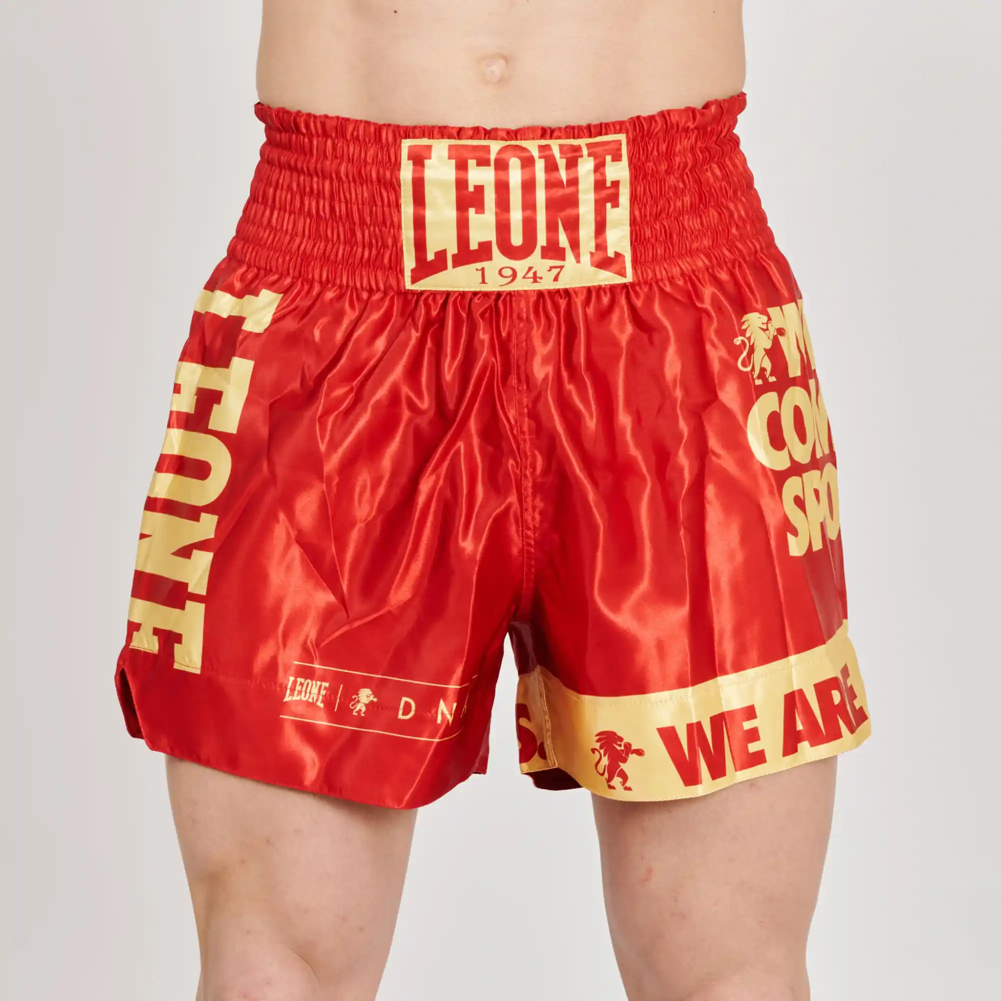 KICK-THAI SHORTS DNA