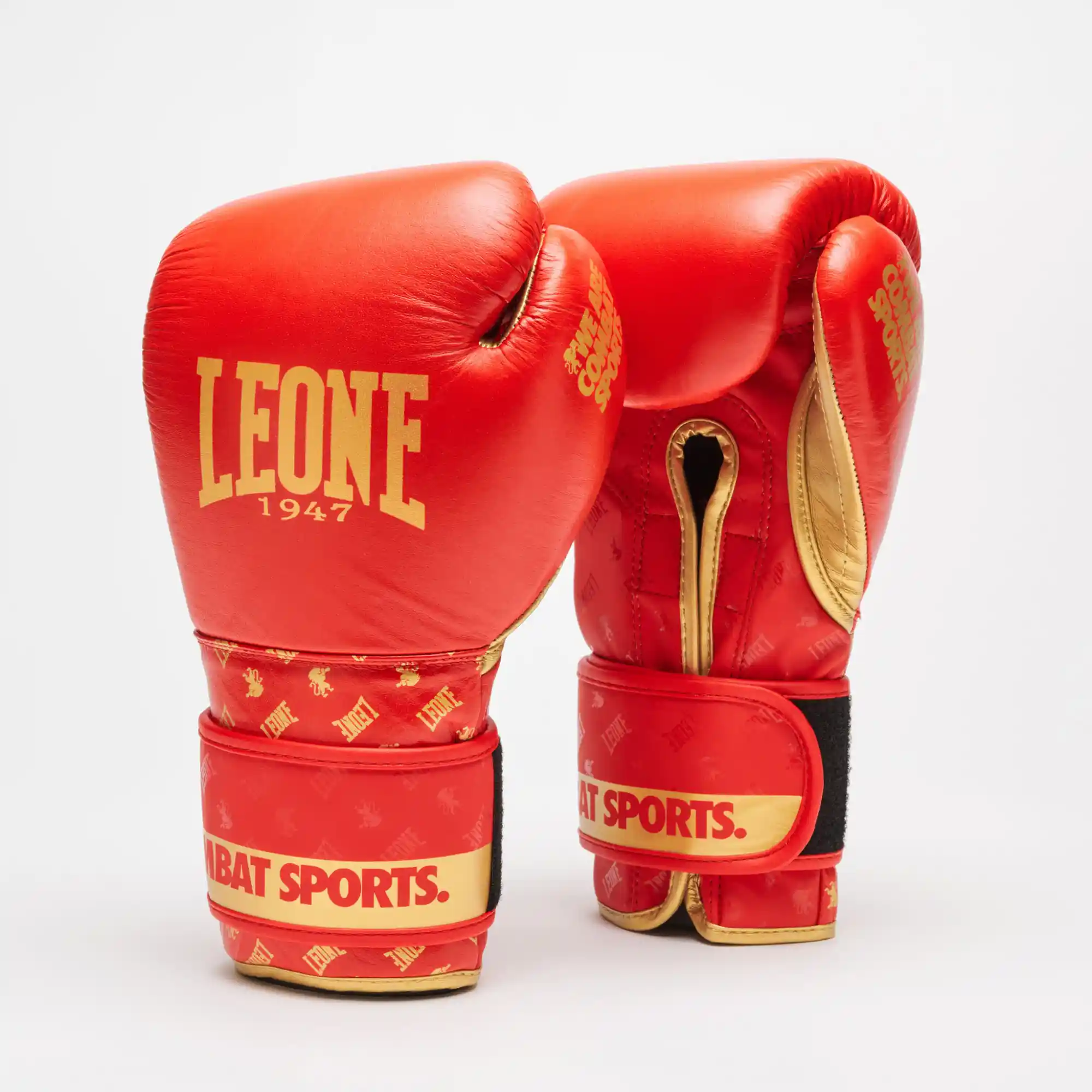 BOXING GLOVES DNA