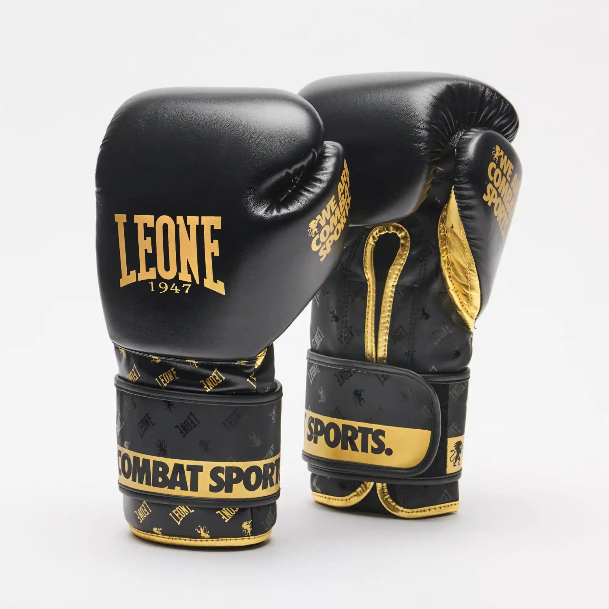 BOXING GLOVES DNA