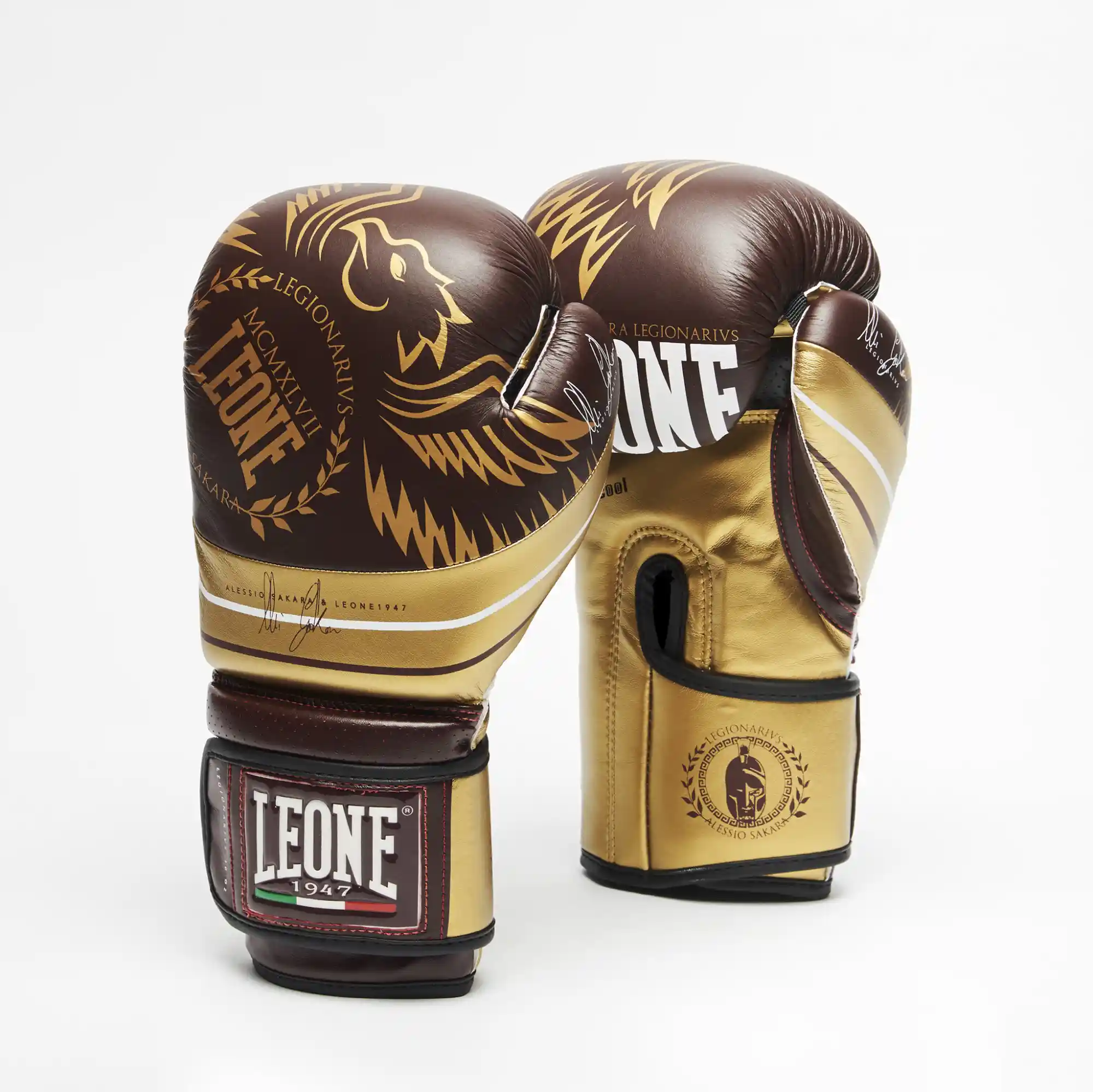 LEGIONARIVS BOXING GLOVES