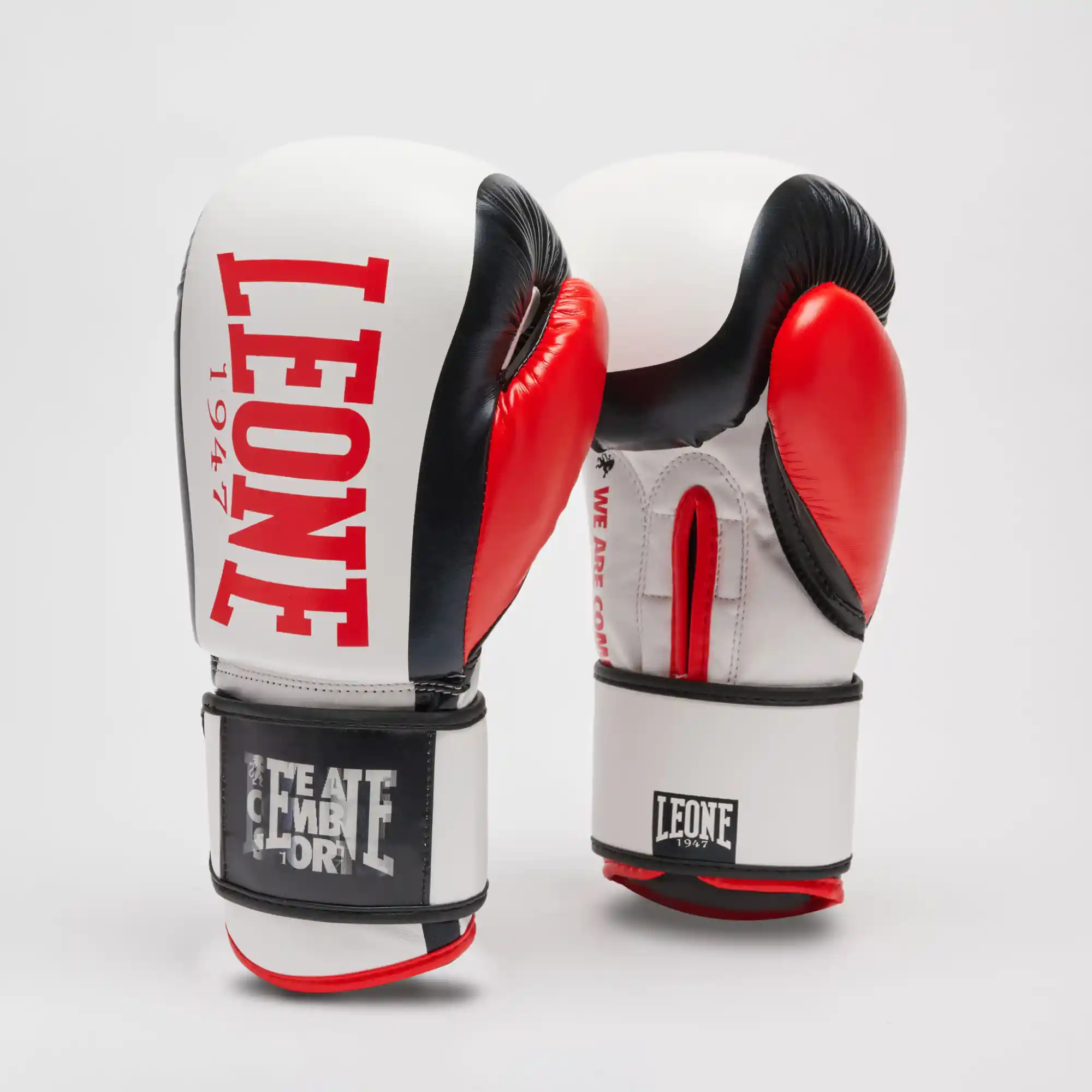 LOGO WACS BOXING GLOVES