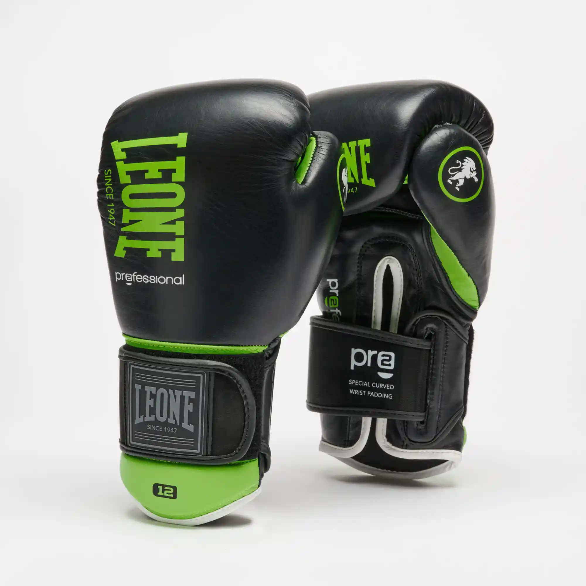 PROFESSIONAL 2 BOXING GLOVES