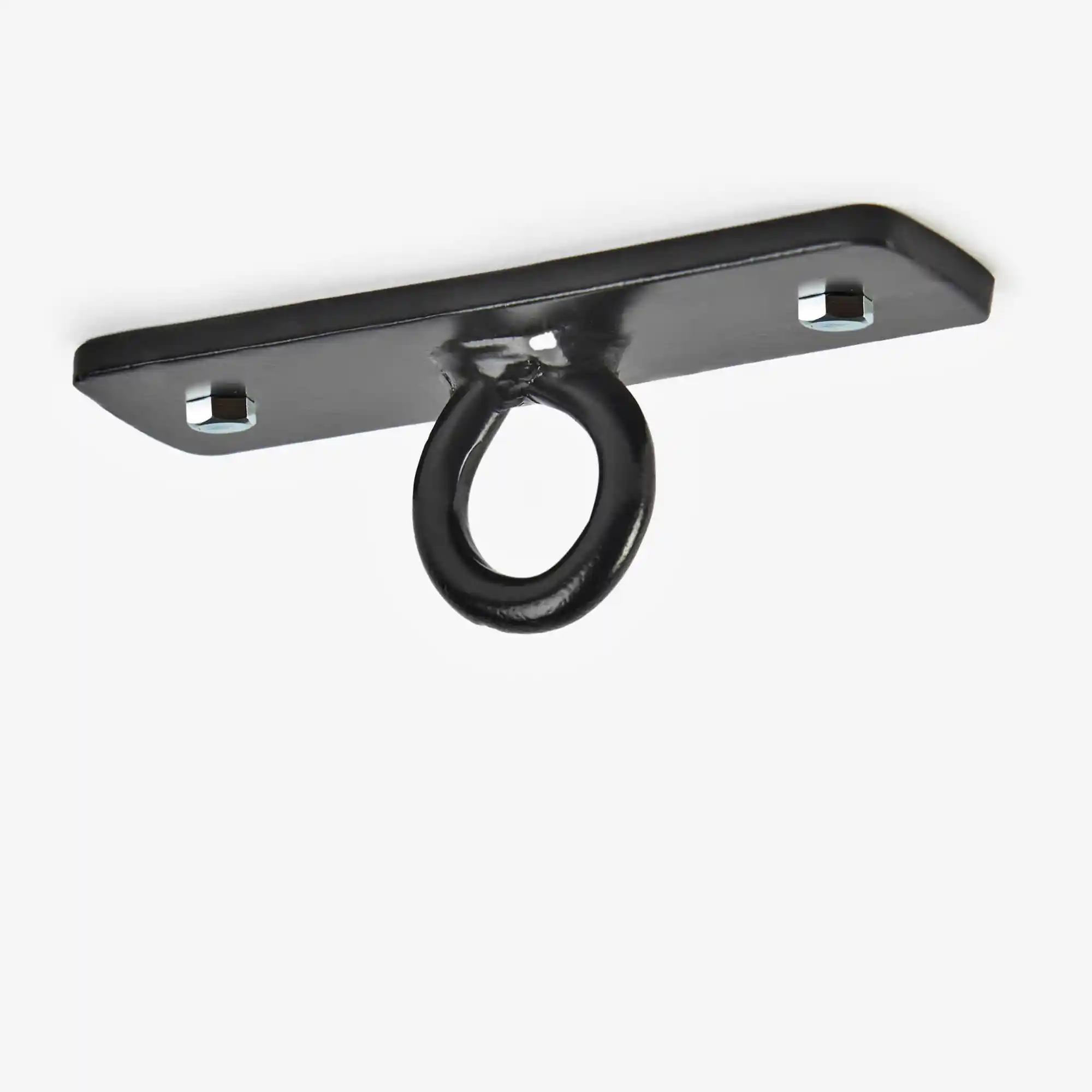 PUNCH BAG CEILING MOUNT