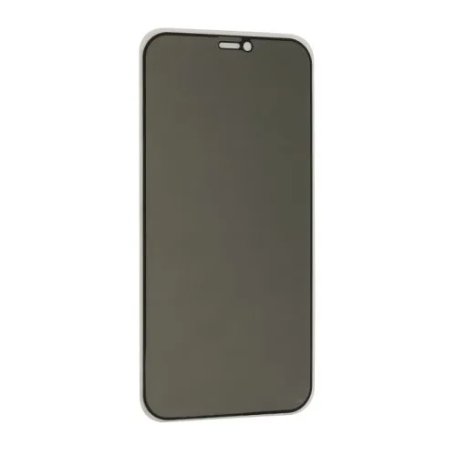 Zaštino staklo (glass) PRIVACY 2.5D Full glue za iPhone 12 Pro Max (6.7) crna (MS)