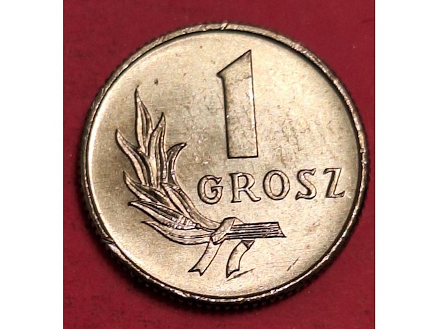 1 Groš 1949 Poljska