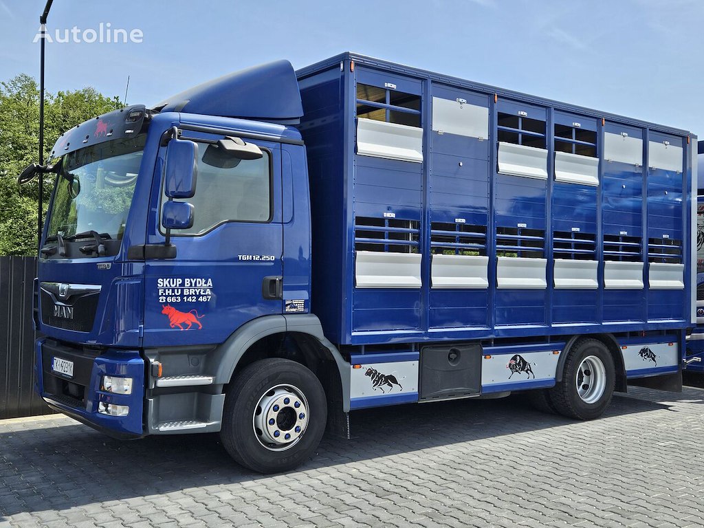 MAN TGM 15.250 kamion za prevoz stoke