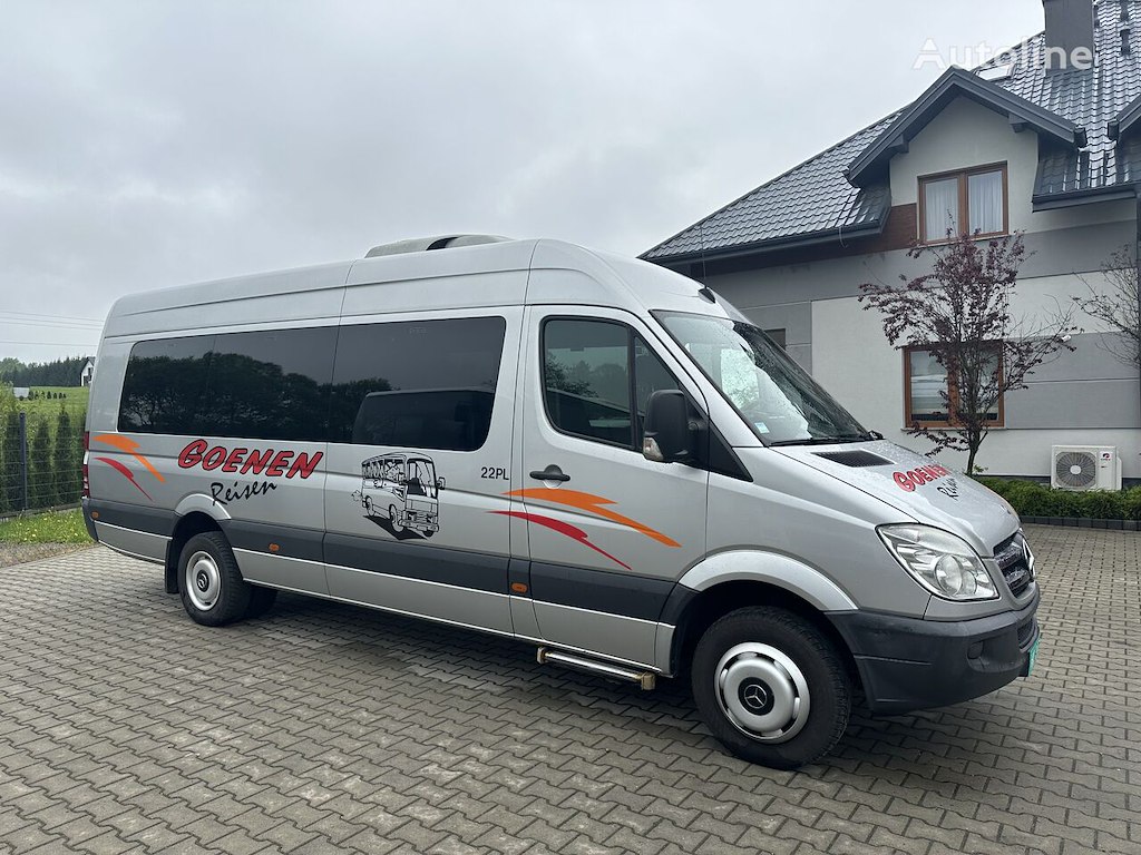 Mercedes-Benz Sprinter 519 putnički minibus