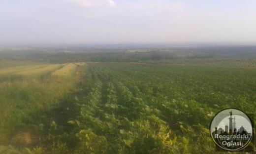 prodajem zemlju u irigu na fruskoj gori