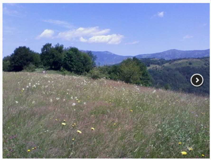 Stara planina, 18 hektara.