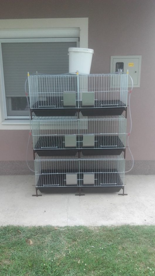 Kavezi za pilice i zeceve – Novi Sad, Veternik